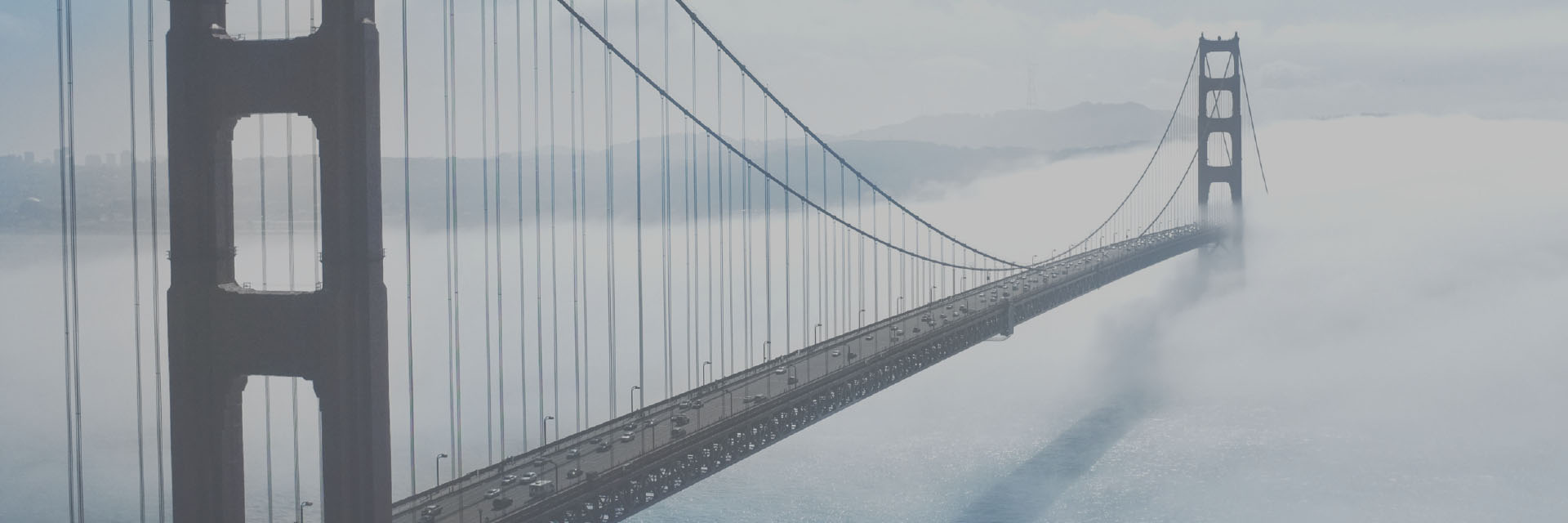 Maderra Portfolio - Maderra